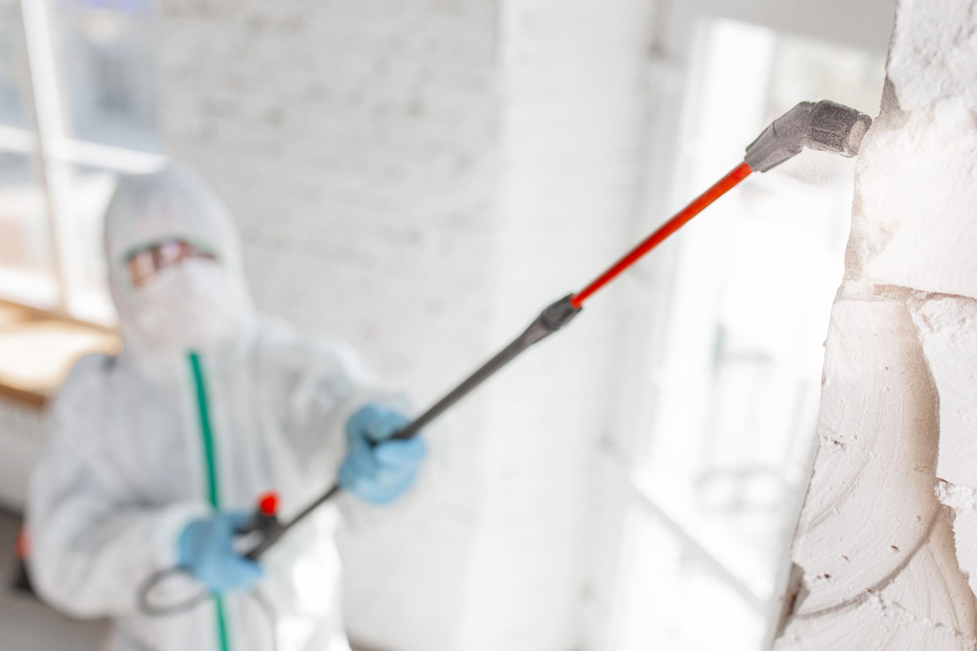 Fighting Mold: Practical Tips for a Healthy Home
